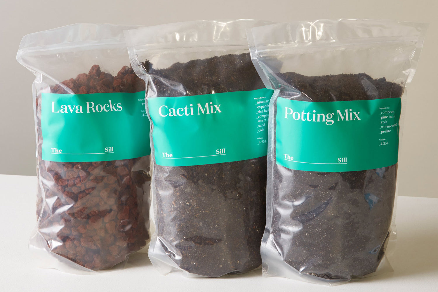 All About Potting Mix | Plant Care Tips | The Sill