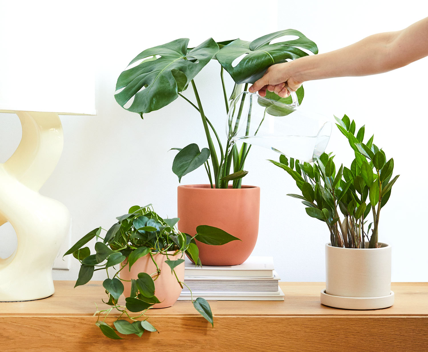 How To Keep Your Plants Alive While You’re On Vacation - The Sill