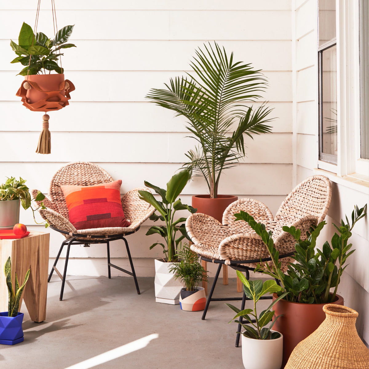 The Sill® + NYBG: Container Gardening