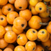 Japanese Loquat | The Sill