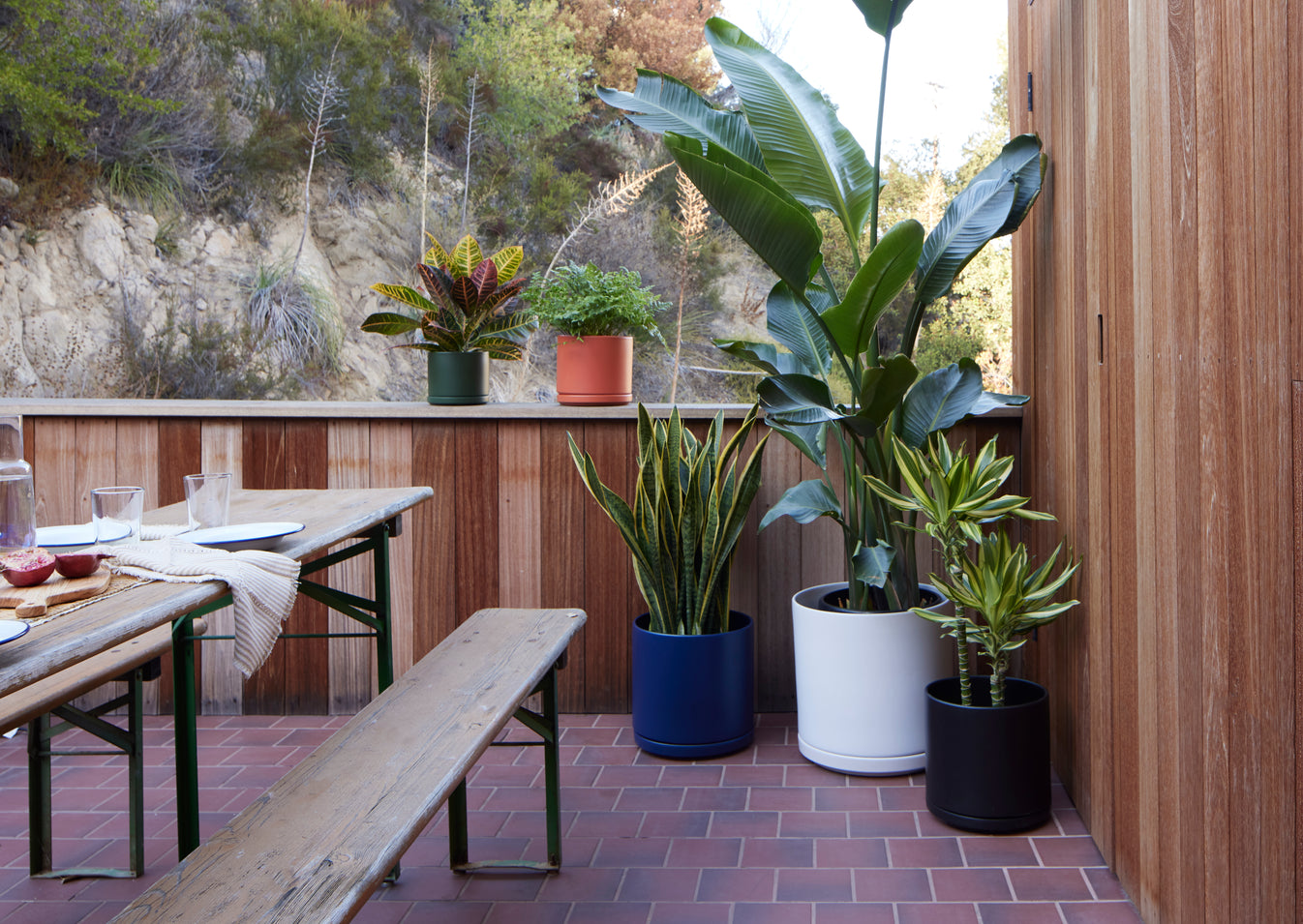 Solid Goods Planter 15" | Plants and Planters for Delivery | The Sill