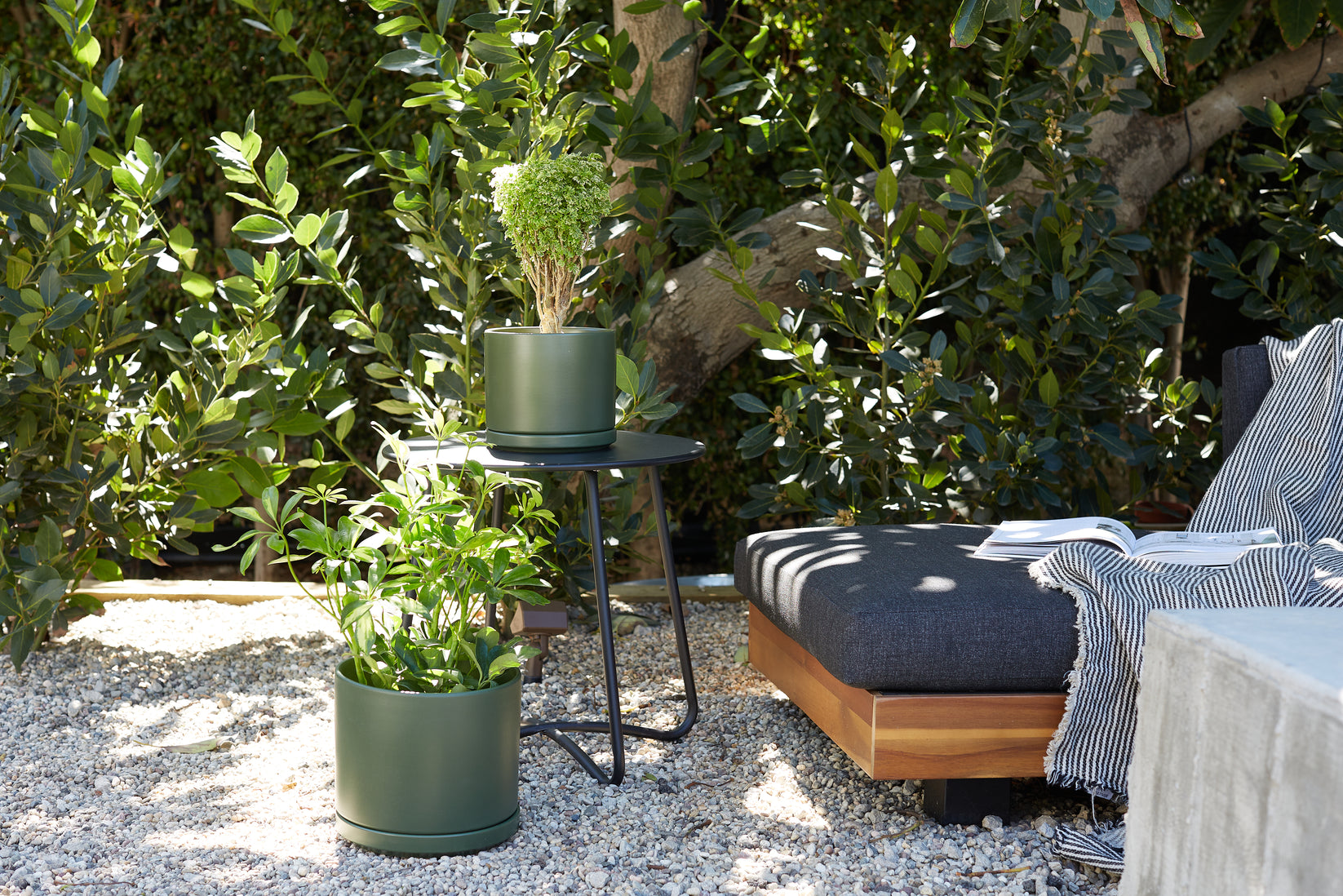 Solid Goods Planter 15" | Plants and Planters for Delivery | The Sill