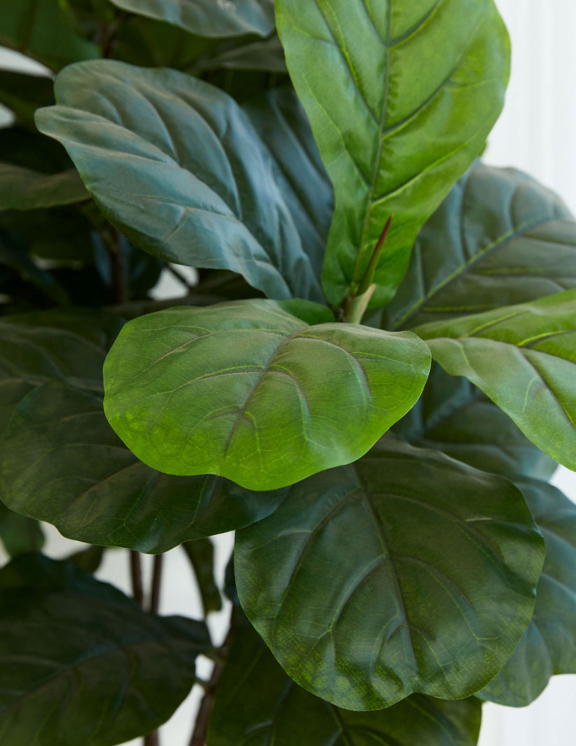 Faux Fiddle Leaf Fig Tree | Faux Plants for Delivery | The Sill