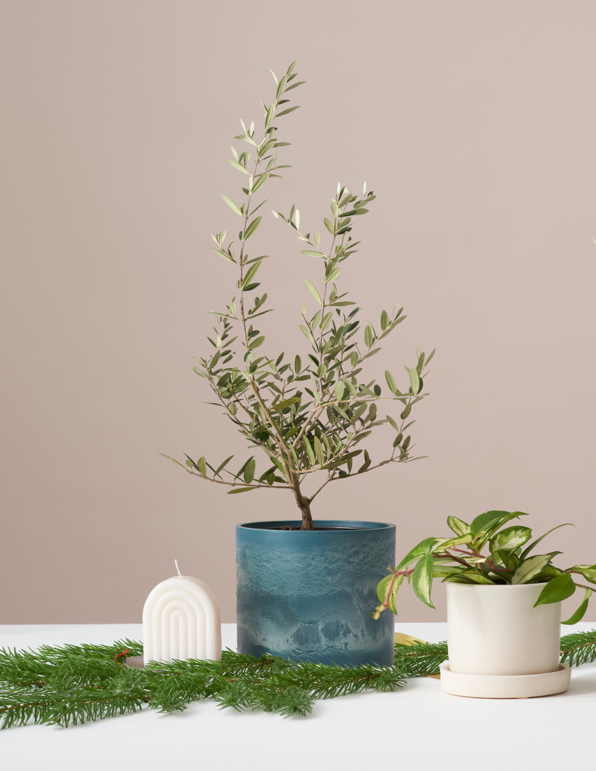 25 Ft. Fraser Fir Garland | The Sill