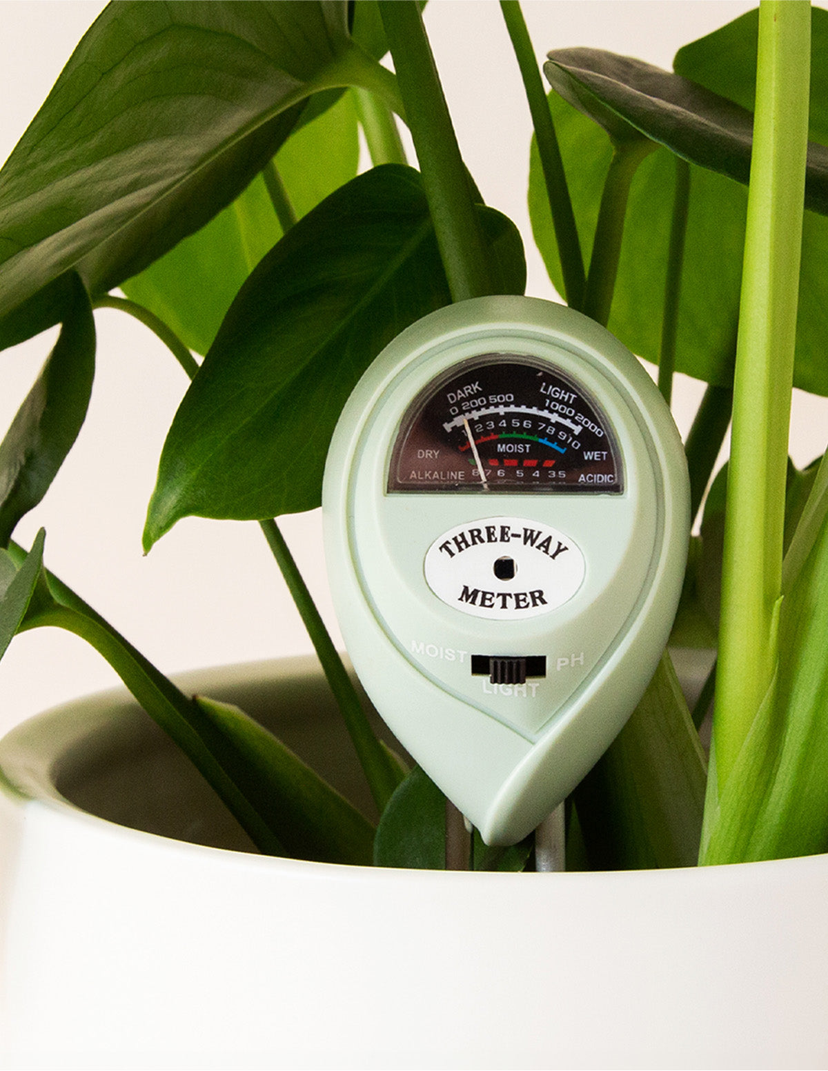 Moisture Meter | The Sill