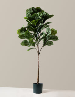 Faux Fiddle Leaf Fig Tree | Faux Plants for Delivery | The Sill