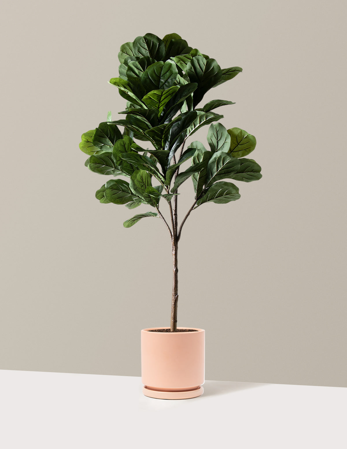 Faux Fiddle Leaf Fig Tree | Faux Plants for Delivery | The Sill