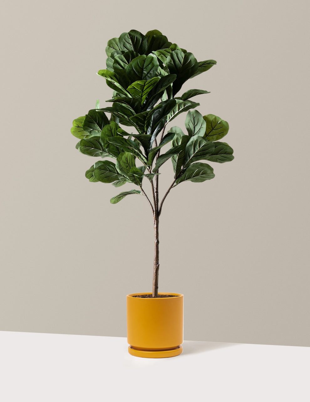 Faux Fiddle Leaf Fig Tree | Faux Plants for Delivery | The Sill