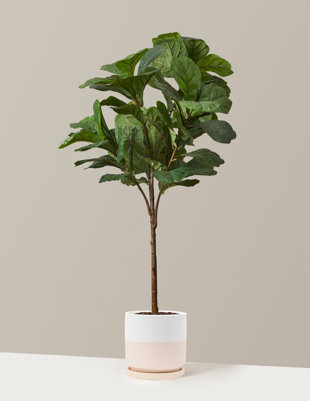 Faux Fiddle Leaf Fig Tree | Faux Plants for Delivery | The Sill