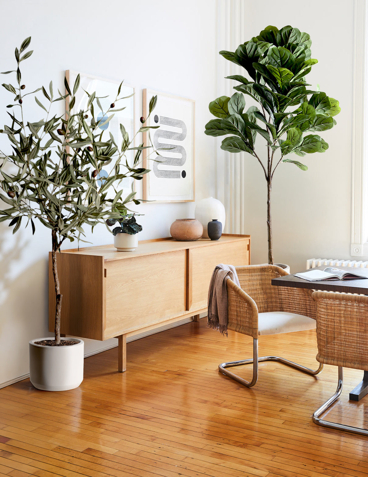 Faux Iconic Trees Duo | Best Artificial Trees and Houseplants | The Sill