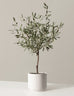 Faux Olive Tree Potted Plant | Best Artificial Trees and Houseplants ...