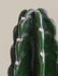 Cuddly Cactus (Cereus Cactus) | Houseplants Safe for Pets Delivery ...