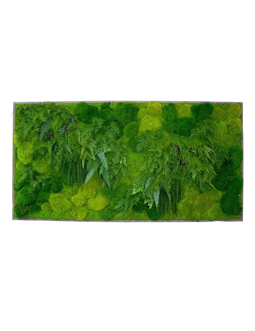 Large Preserved Living Wall 68" x 33" | The Sill