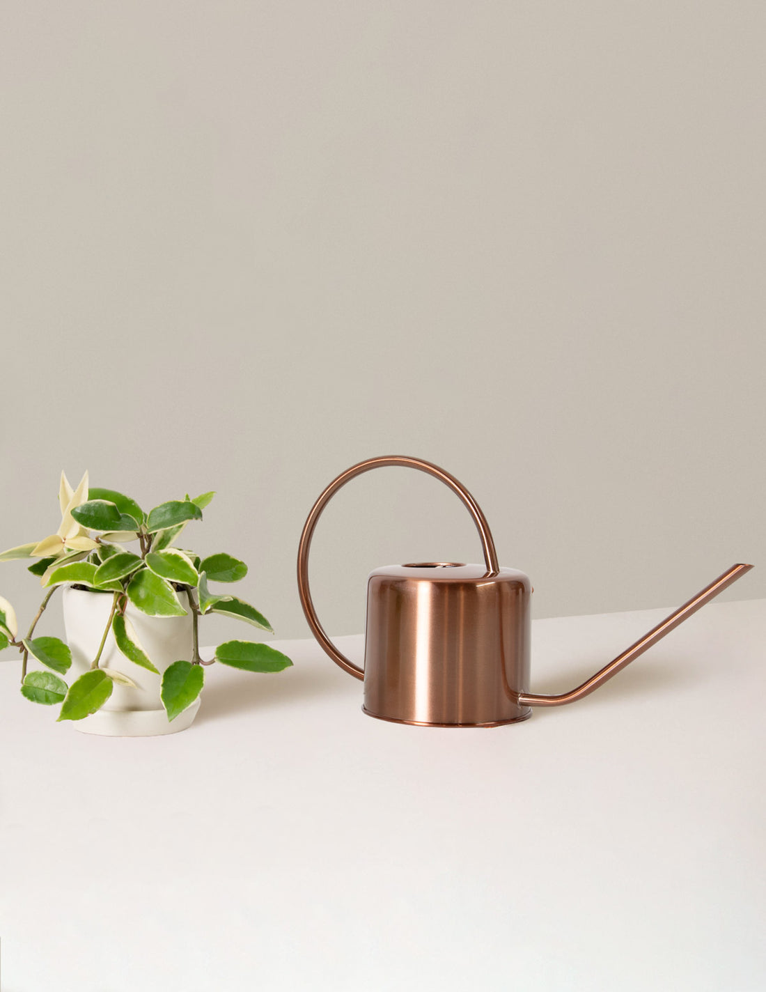 Metal Watering Can | Houseplants and Gifts for Delivery | The Sill