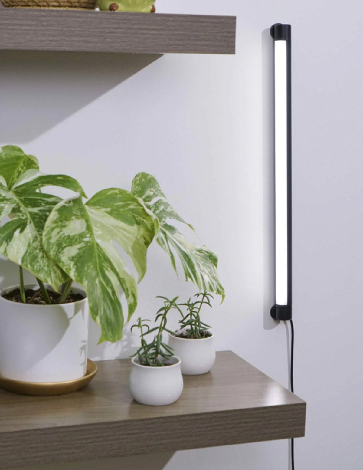 Grove Bar Light | The Sill