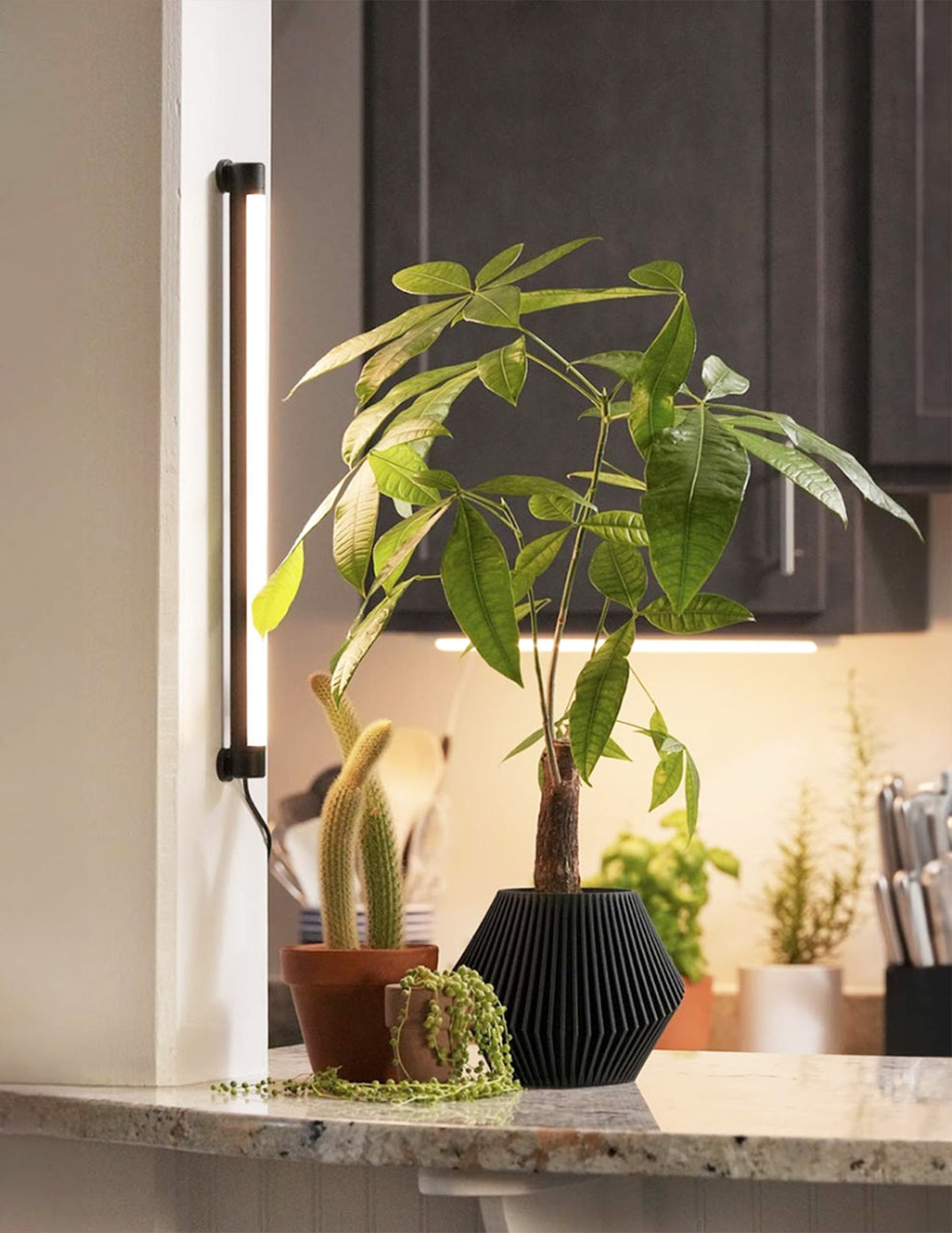 Grove Bar Light | The Sill