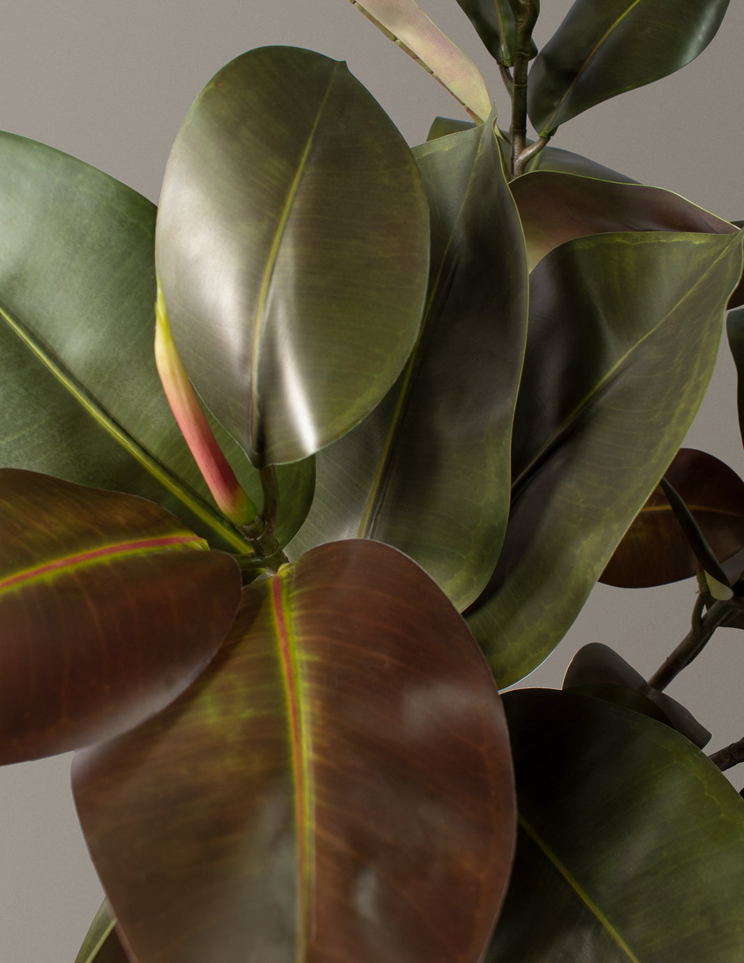 Artificial Plants, Faux Plants, Preserved Plants and Living Walls | The ...