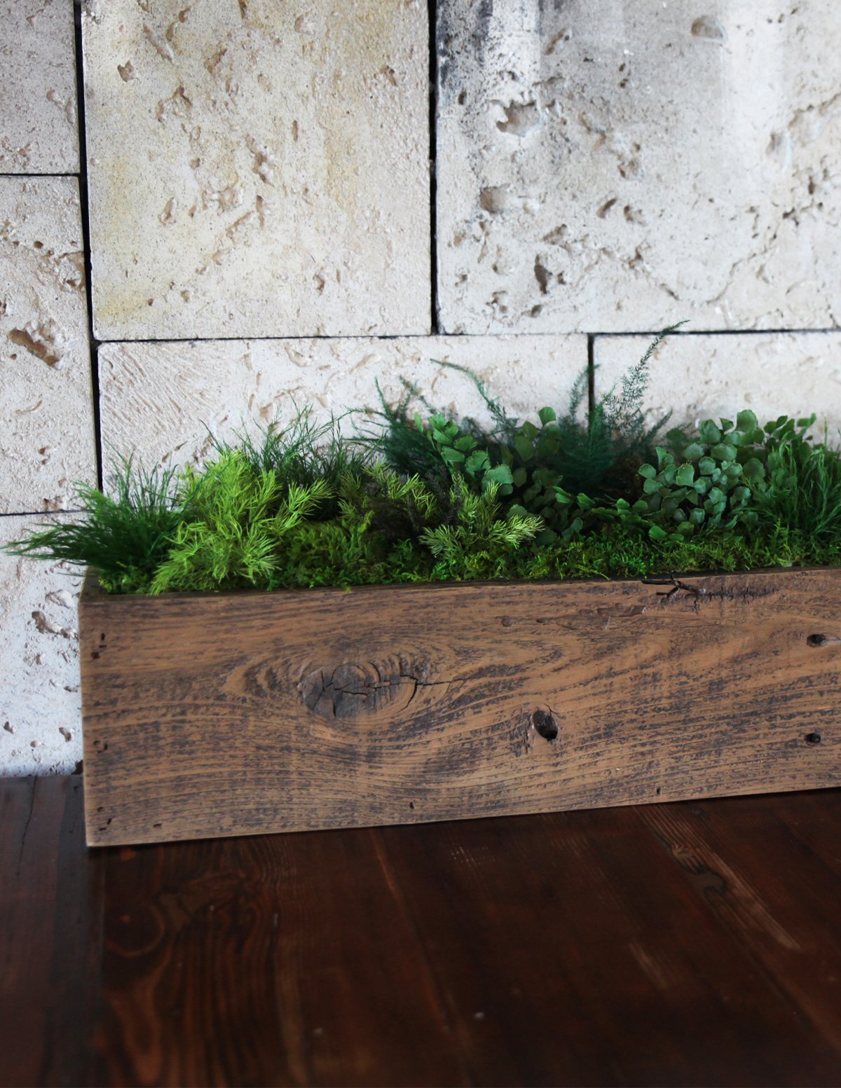 Preserved Moss & Fern Box | The Sill